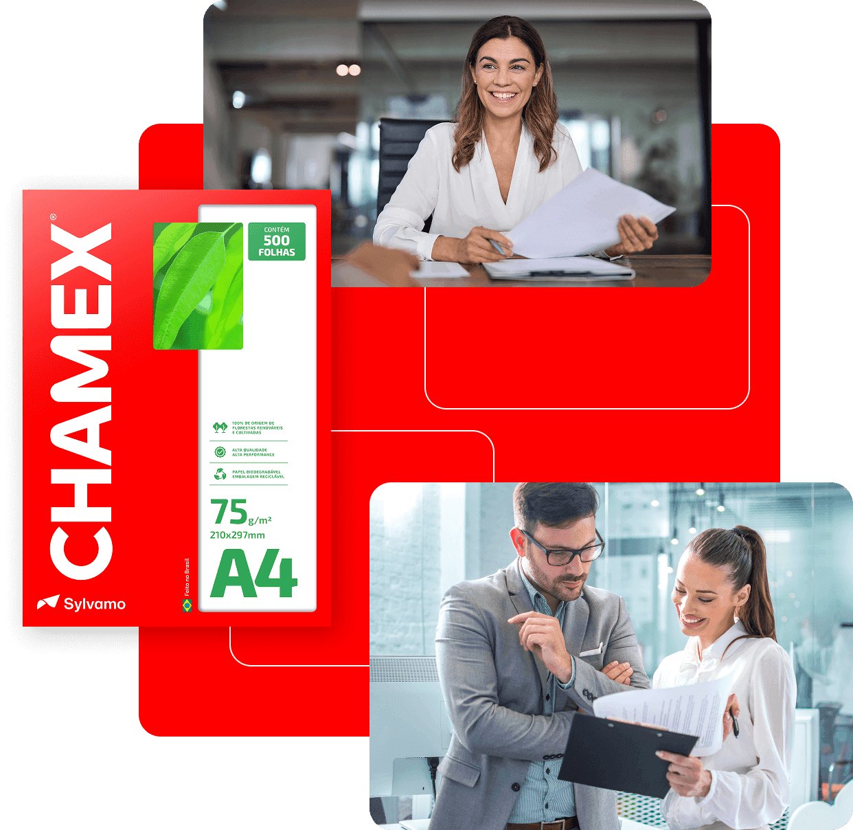 Chamex